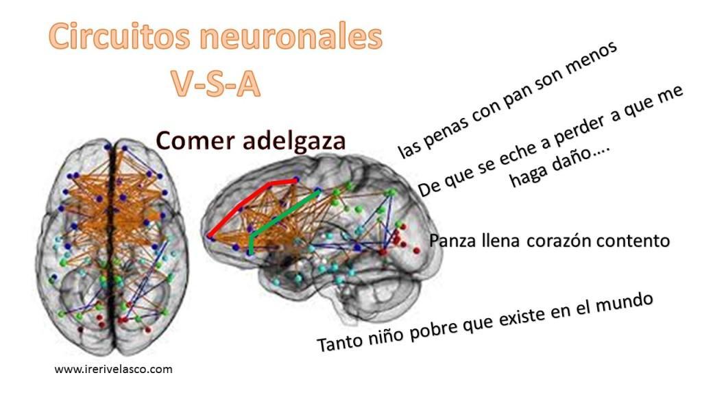 Circuitos Neuronales - Master Coach Ireri Velasco